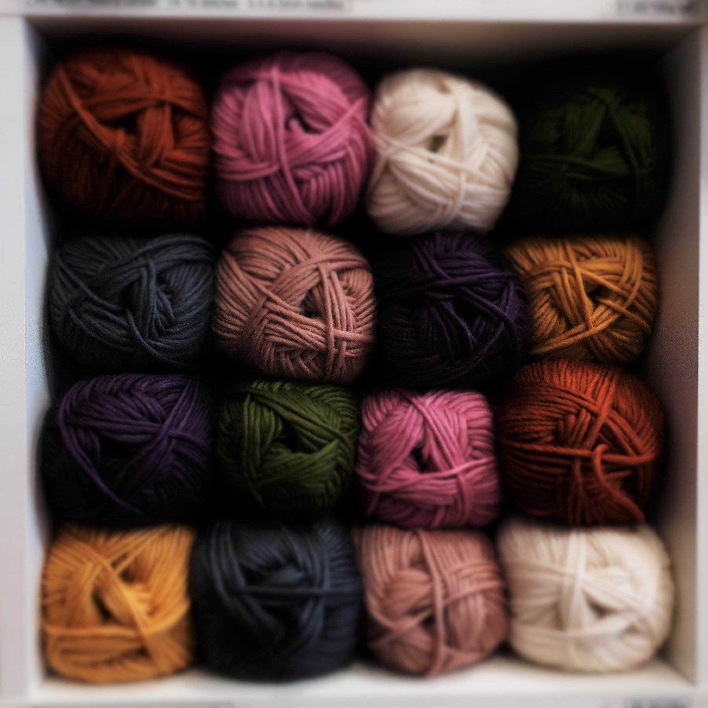 Homepage - Wild and Woolly