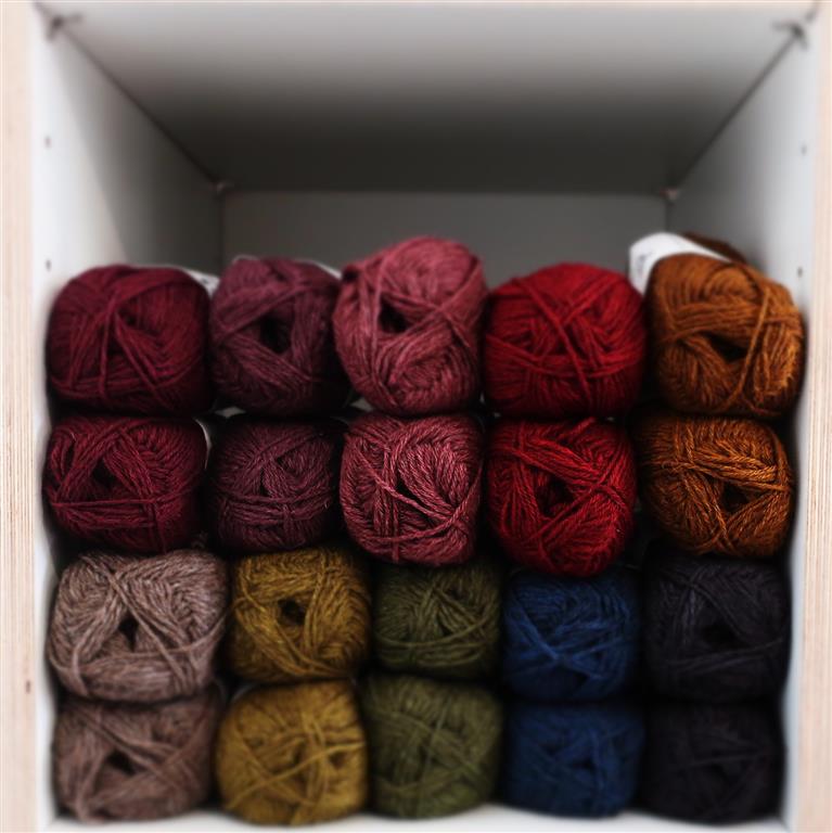 Homepage - Wild and Woolly