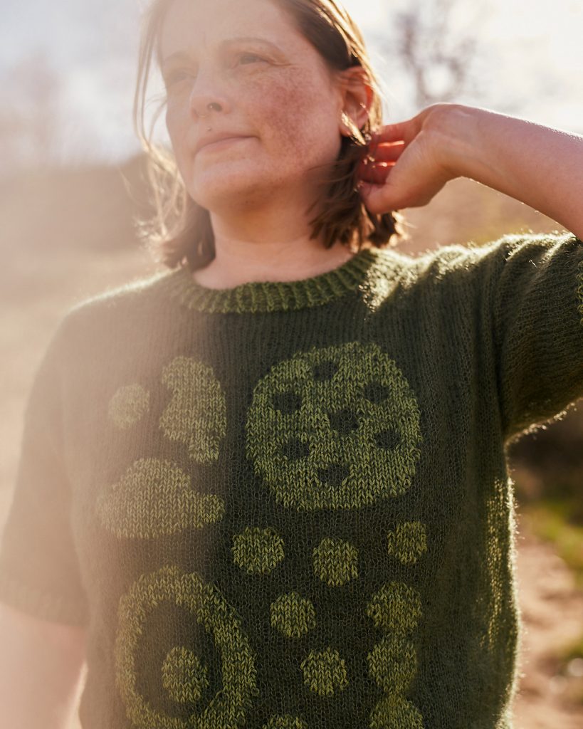 Intarsia Knits by Anna Husemann - Wild and Woolly